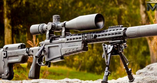 Autoloader Rifle - Gun Reviews | Free Gun Values | Gun Deals & Gun Critic